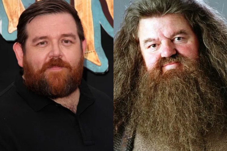 Nick Frost in conversations to be Hagrid in the 'Harry Potter' series ...