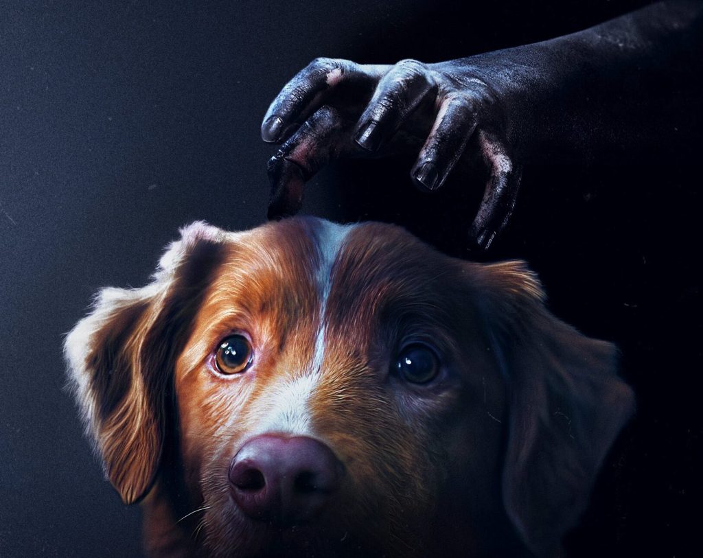 The danger lurks the 'Good boy' poster the new sensation of horror movies